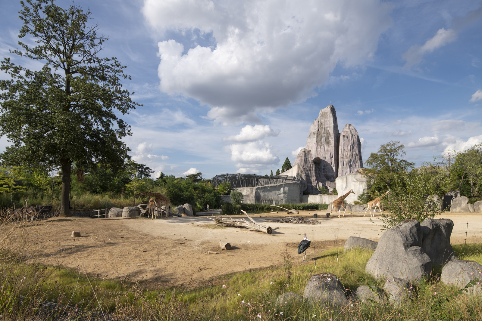 Osty et associés paysage urbanisme