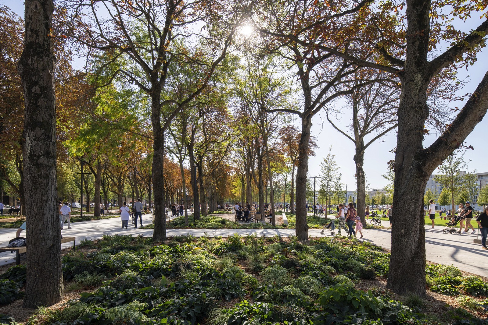 Les Promenades